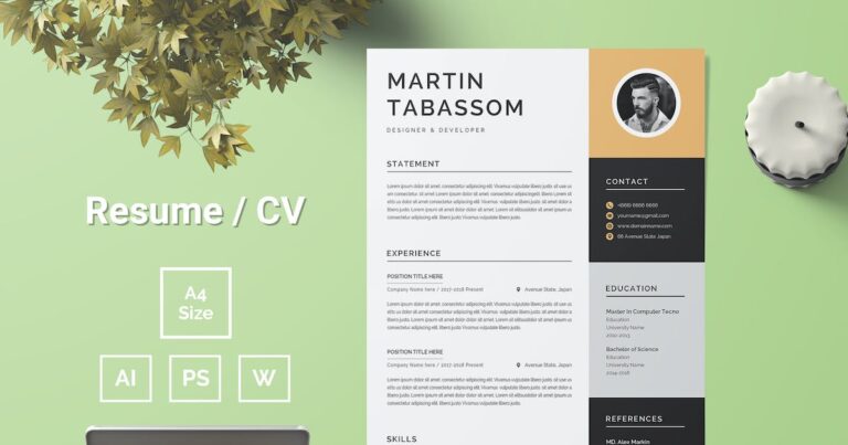 El formato Harvard para un currículum vitae impecable: Guía completa en ...