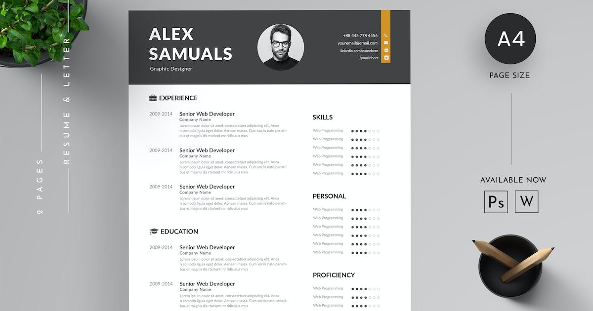 RESUME TEMPLATE: Descargar plantilla de Currículum vitae