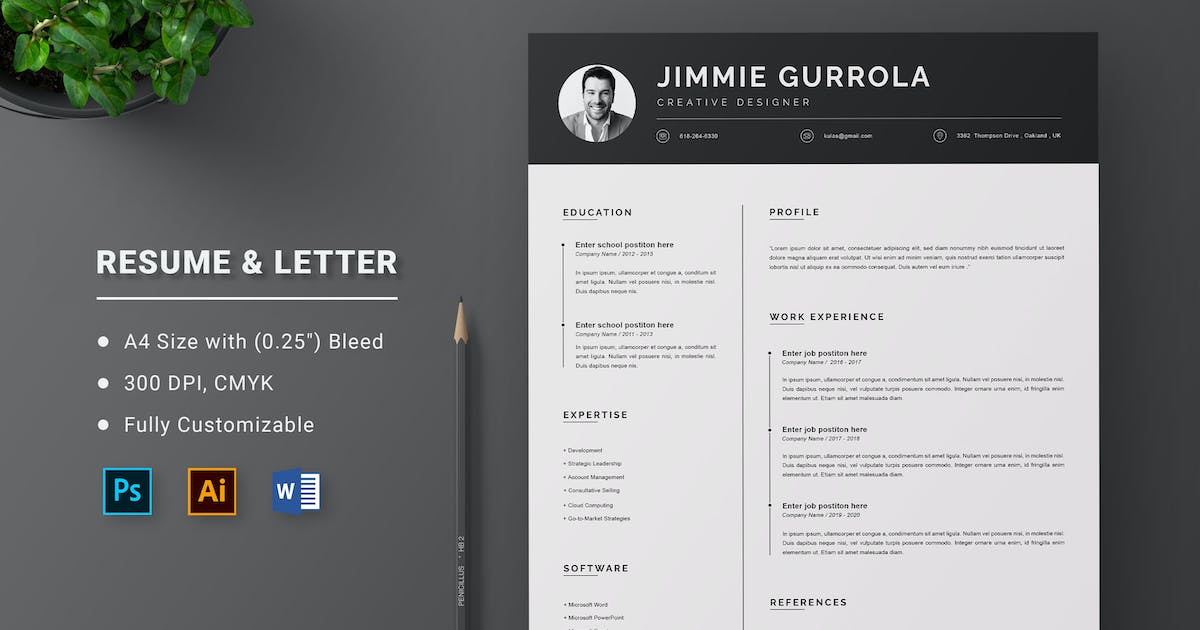 RESUME TEMPLATE: Descargar plantilla de Currículum vitae