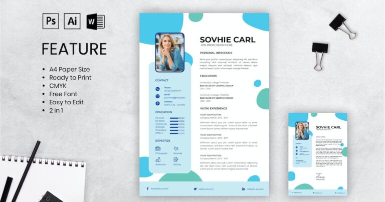 El formato Harvard para un currículum vitae impecable: Guía completa en ...