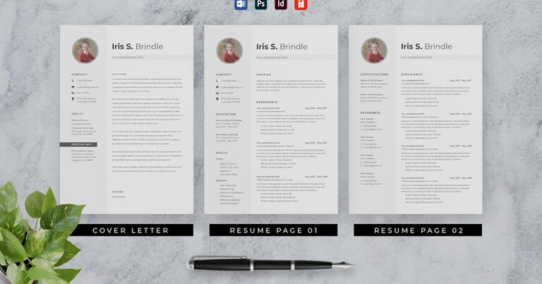 Descarga gratis tu plantilla de currículum vitae en Excel ahora mismo ...