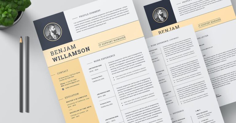 El formato Harvard para un currículum vitae impecable: Guía completa en ...