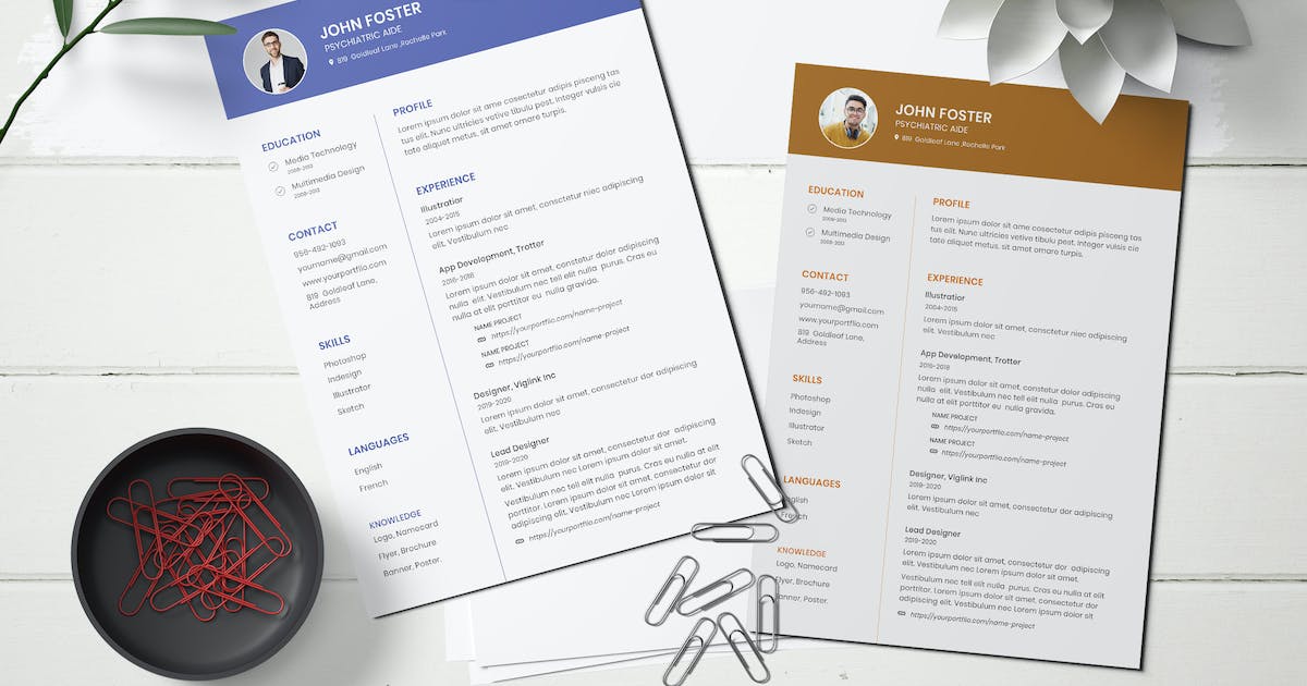 El formato Harvard para un currículum vitae impecable: Guía completa en ...