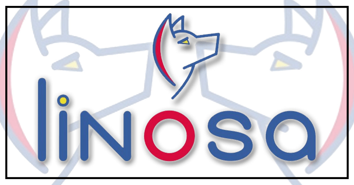 Linosa de Guatemala Empleos | Plazas Disponibles [ 2022]